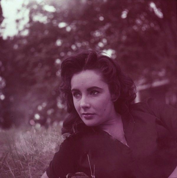 Liz Taylor par Peter Bash - Le Mag Cinéma