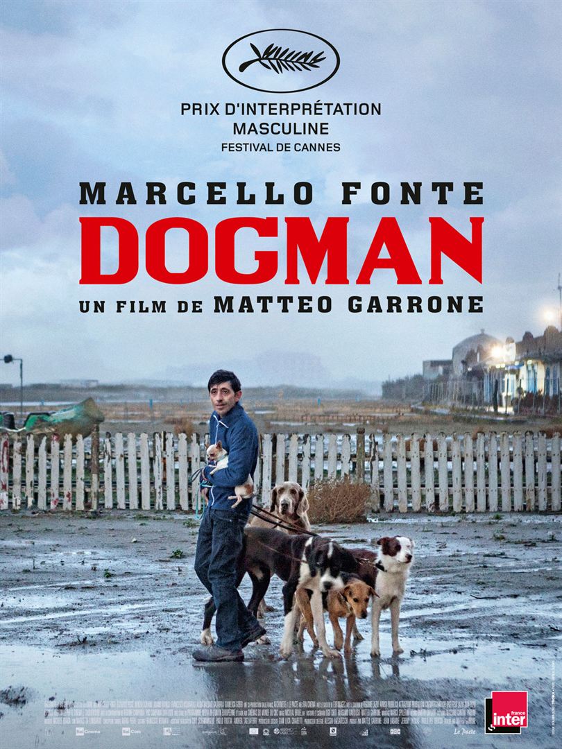 Dogman : chef-d'oeuvre ou film moyen ? - Le Mag Cinéma